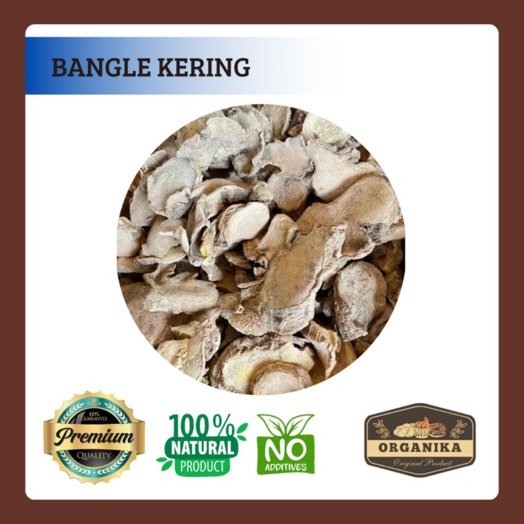 Jual Bangle Kering 1kg - 500gr / Bengal root (Zingiber cassumunar ...