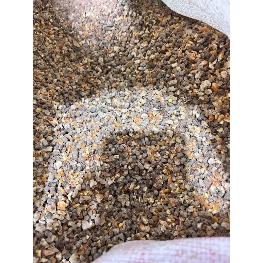 Jual PAKAN AYAM PETELUR REPACK 1 KG PRODUKSI 324-2 | Shopee Indonesia