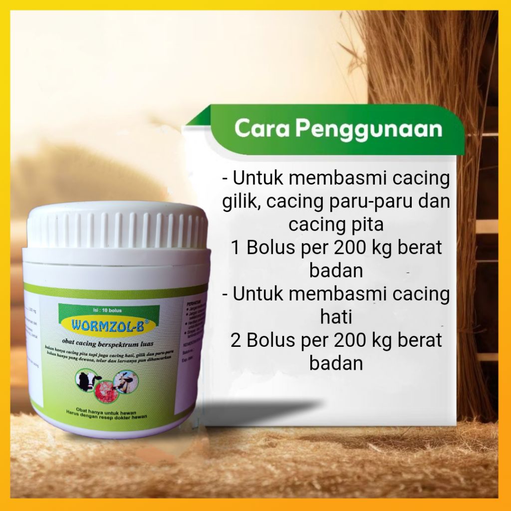 Jual Medion Wormzol B 10 bolus Pot obat cacing sapi kambing domba kuda ...