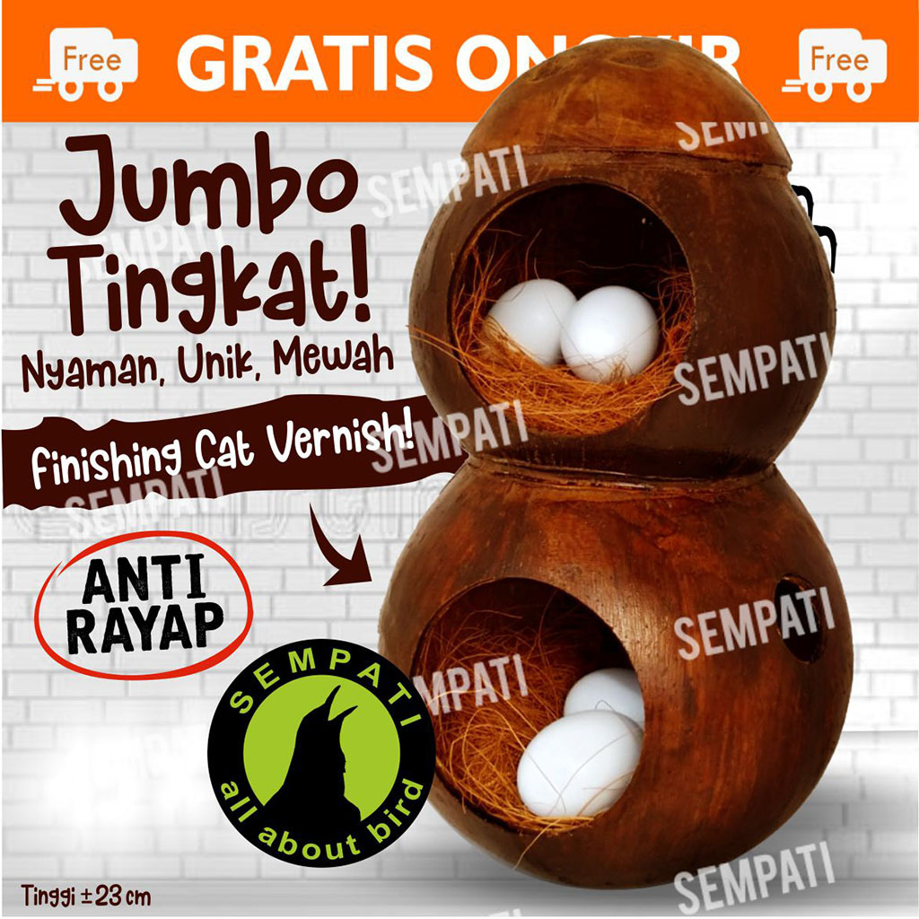 Jual SEMPATI Glodok Batok Bajing Tingkat Glodok Lovebird Parkit Sarang ...