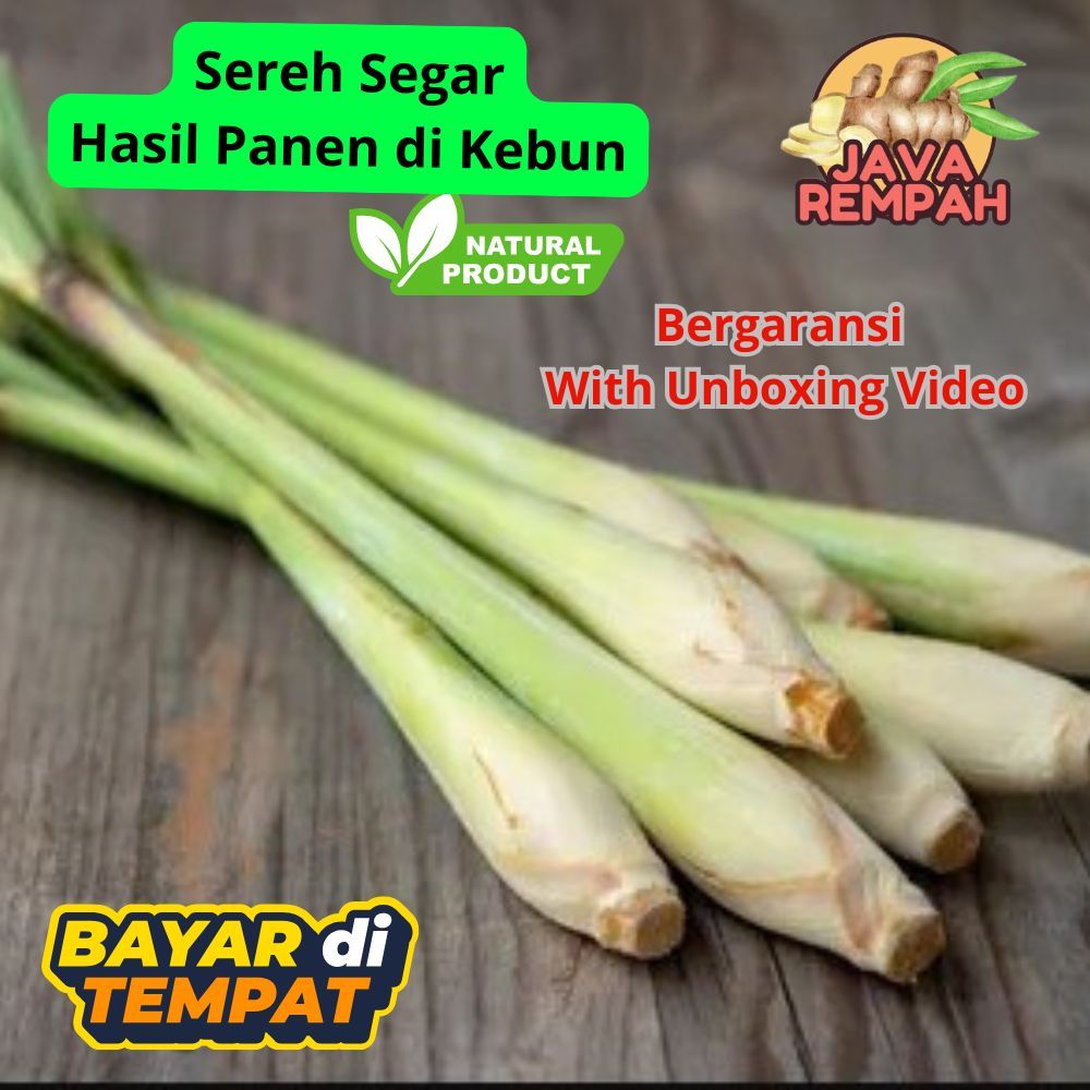 Jual Sereh Serai segar sayur hasil dari kebun langsung | Shopee Indonesia