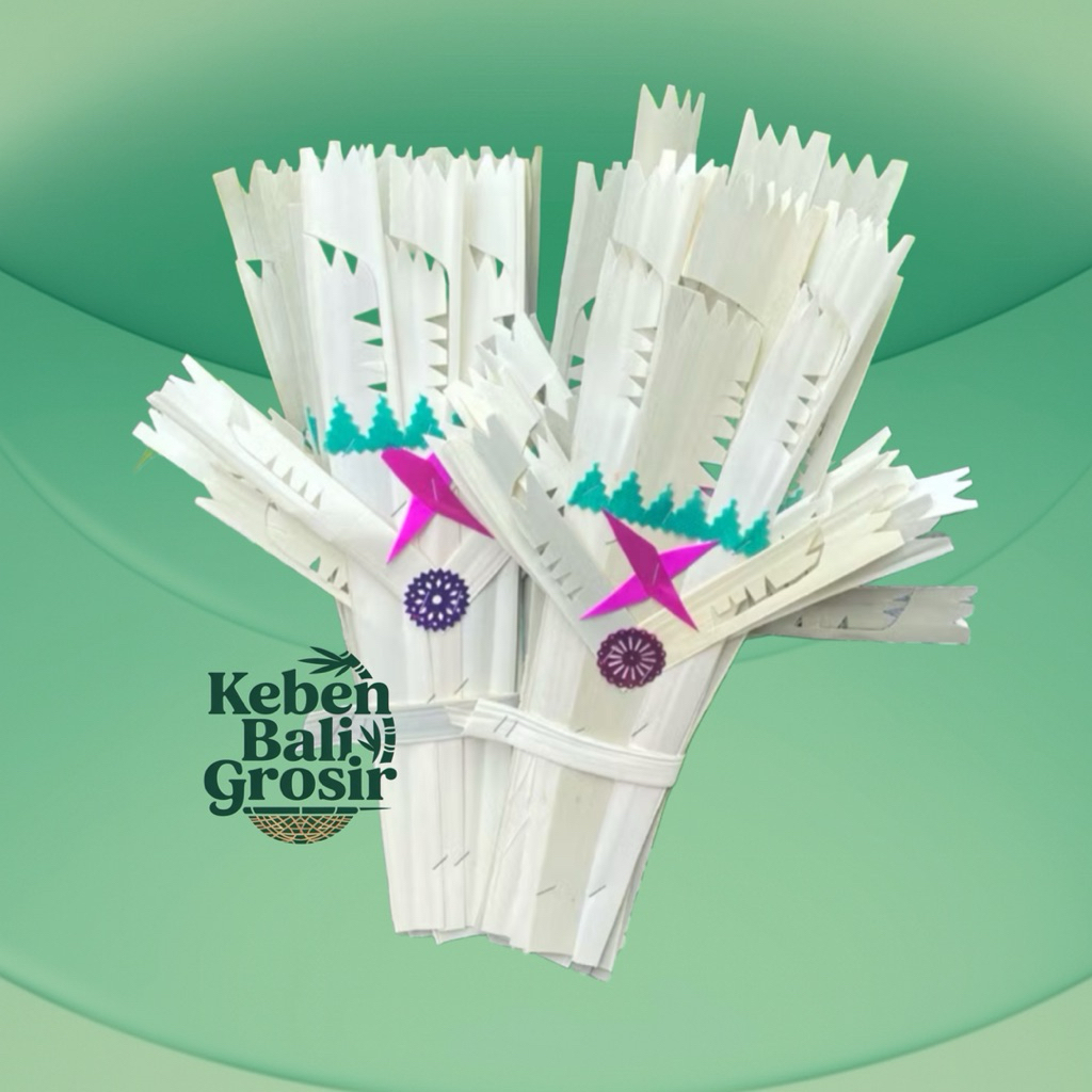 Jual Ceniga galungan (10pcs) | Shopee Indonesia