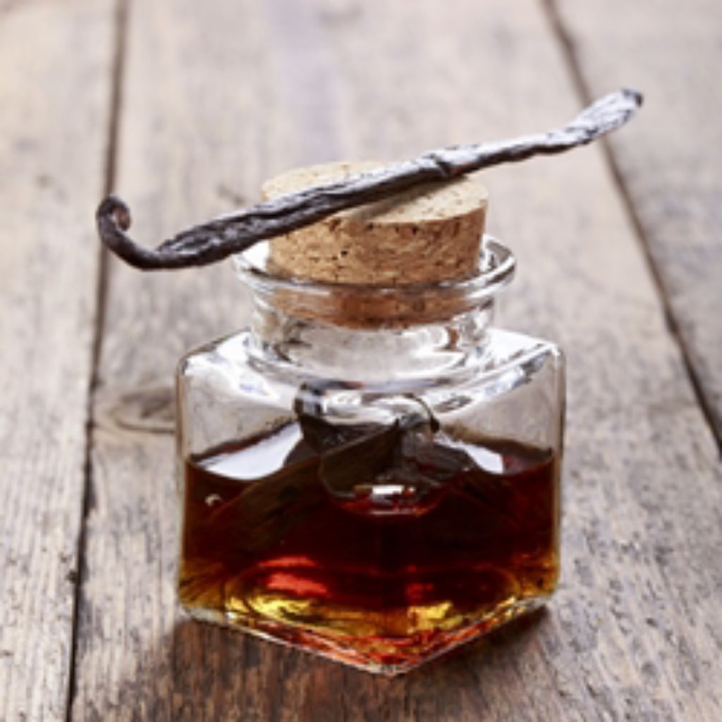 Jual TFA Madagascar vanilla bourbon essence perasa flavor | Shopee ...