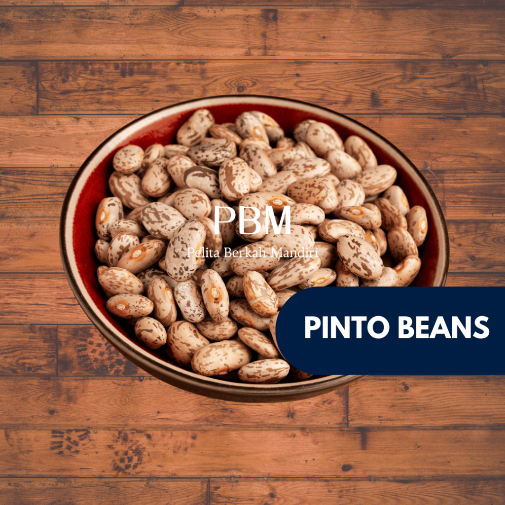 Jual Pinto Beans 1kg / Kacang Pinto 1kg | Shopee Indonesia