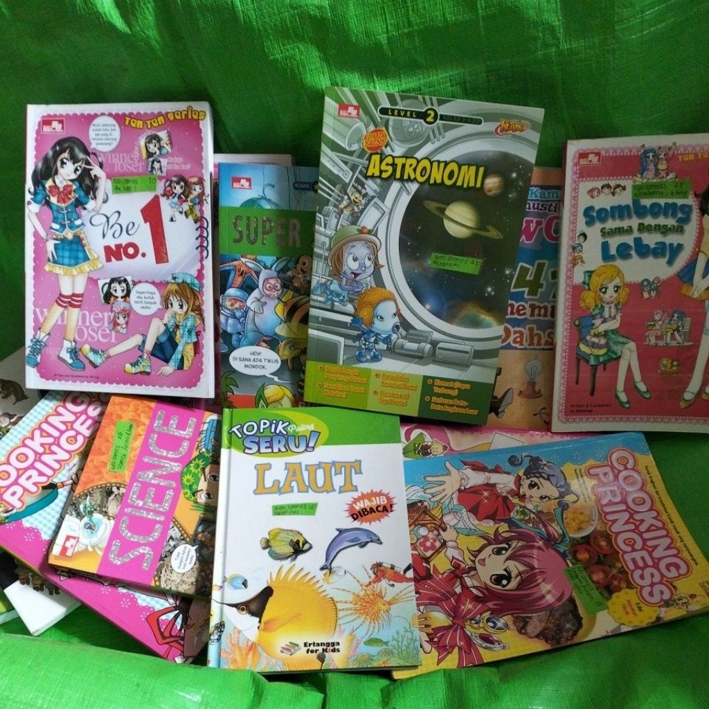Jual Buku anak Preloved - Edu Comics - Teen Comics - Why - Borneo - Komik Tokoh Dunia ...