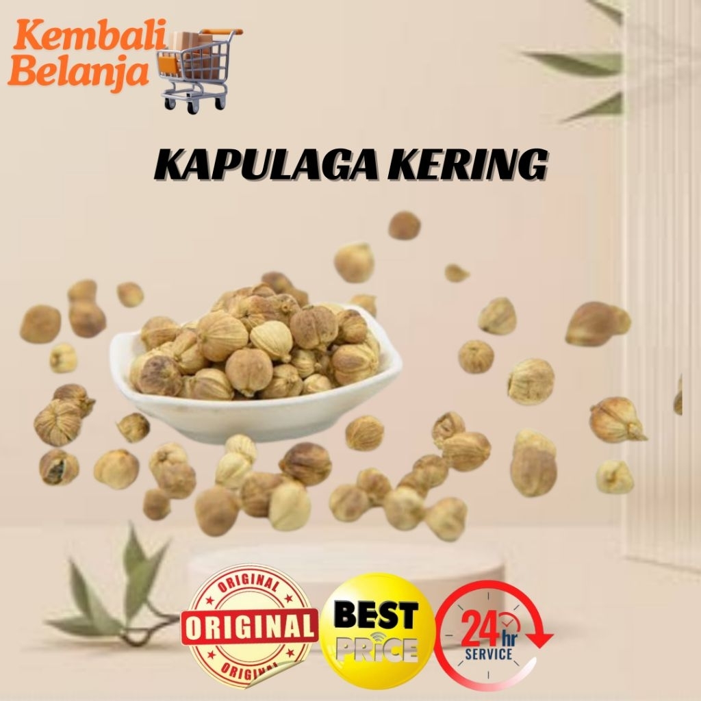 Jual Kapulaga 10 Gram/ Kapulaga Kering/ Kapol/ Kapulogo/ Kapulaga Jawa ...