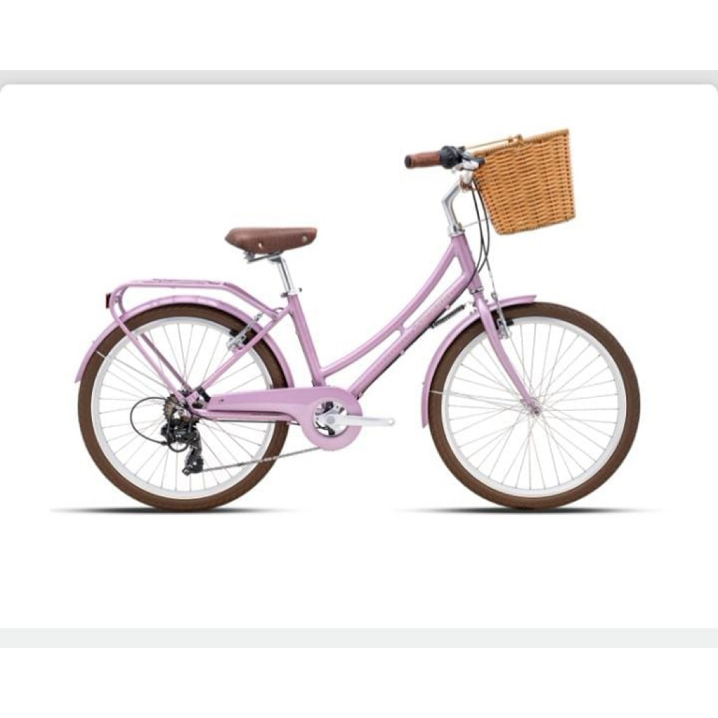 Jual Sepeda City Bike 24” Polygon Oosten | Shopee Indonesia