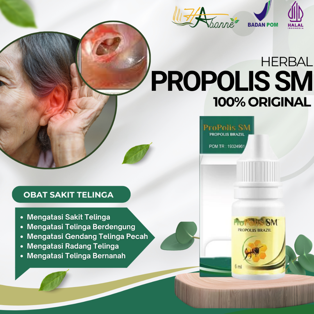 Jual Obat Gendang Telinga Pecah, Gendang Telinga Bolong/Robek, Telinga ...