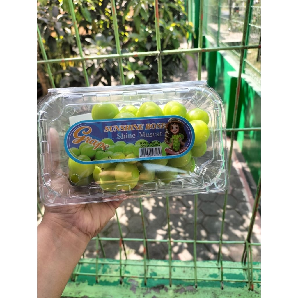 Jual anggur muscat kemasan pek | Shopee Indonesia