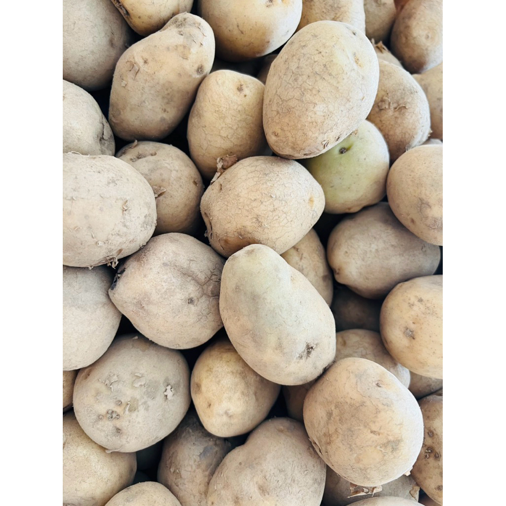 Jual Kentang Dieng Ukuran Kecil 1Kg | Shopee Indonesia