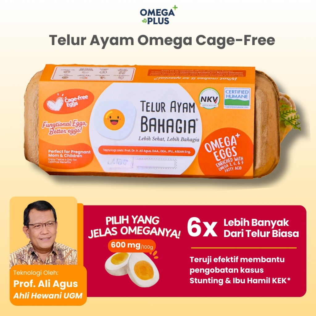 Jual Telur Ayam Omega Free Range / Cage Free | Tinggi Omega | Telur ...