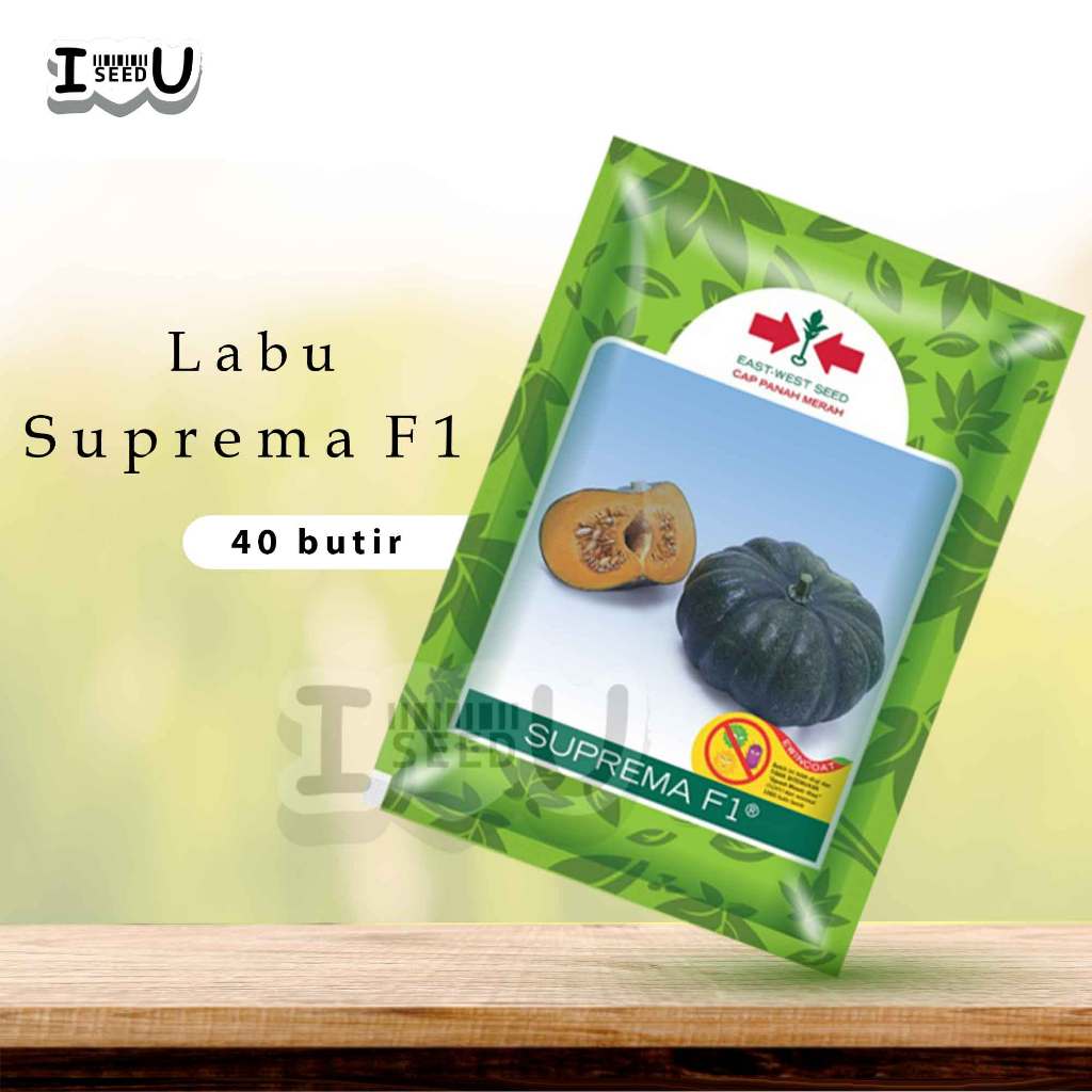 Jual Benih Labu Kuning Suprema F1 – Cap Panah Merah, Hasil Tinggi, Buah ...
