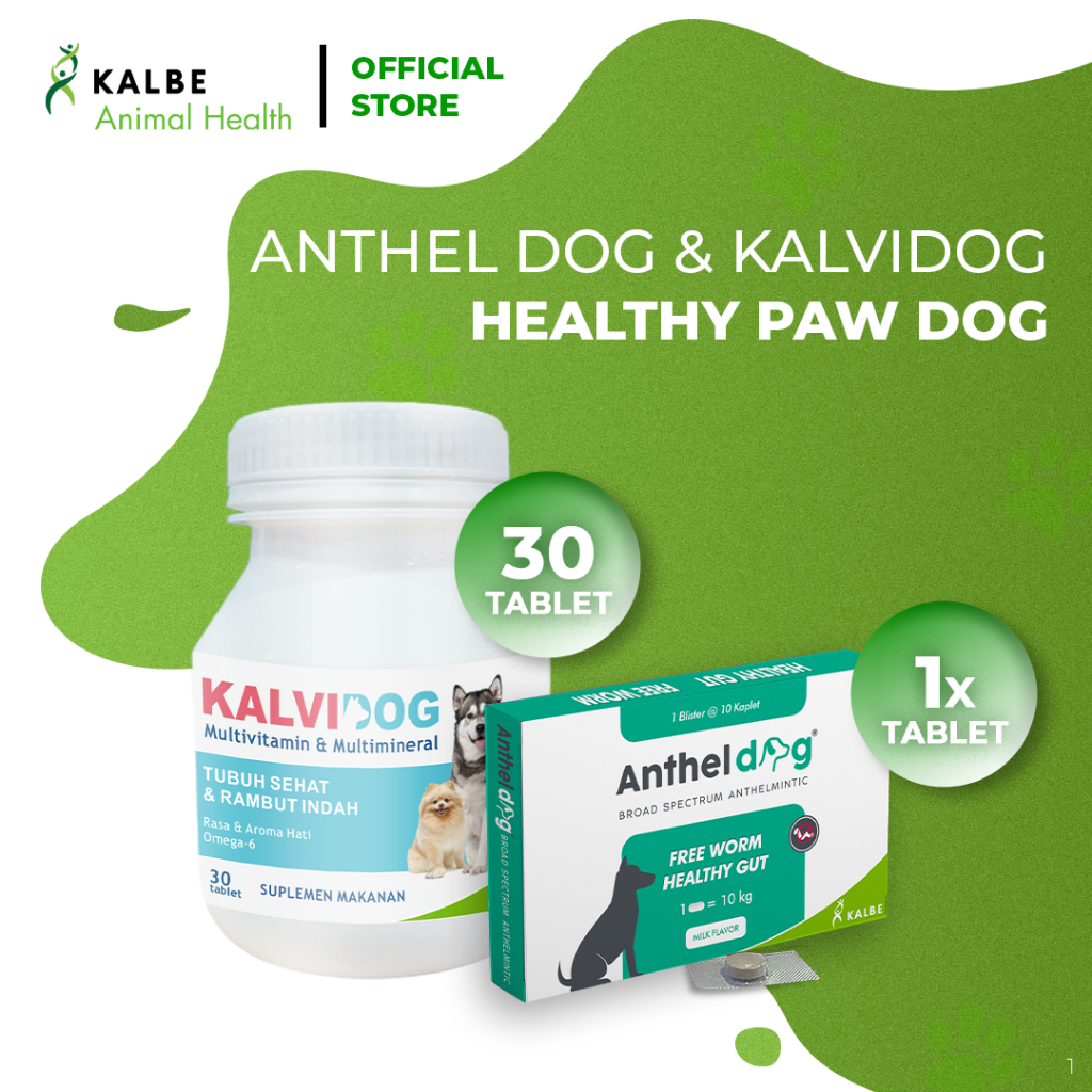 Jual Kalbe Healthy Paw Dog Package - Kalvidog 30 Tablet & Anthel Dog 1 ...