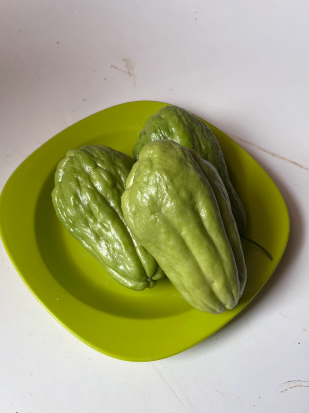 Jual labu siam muda fresh 1kg dari kebun | Shopee Indonesia