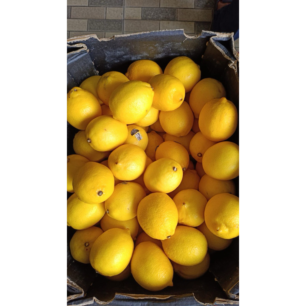 Jual LEMON IMPORT 1 DUS AUSSIE FRESH | Shopee Indonesia