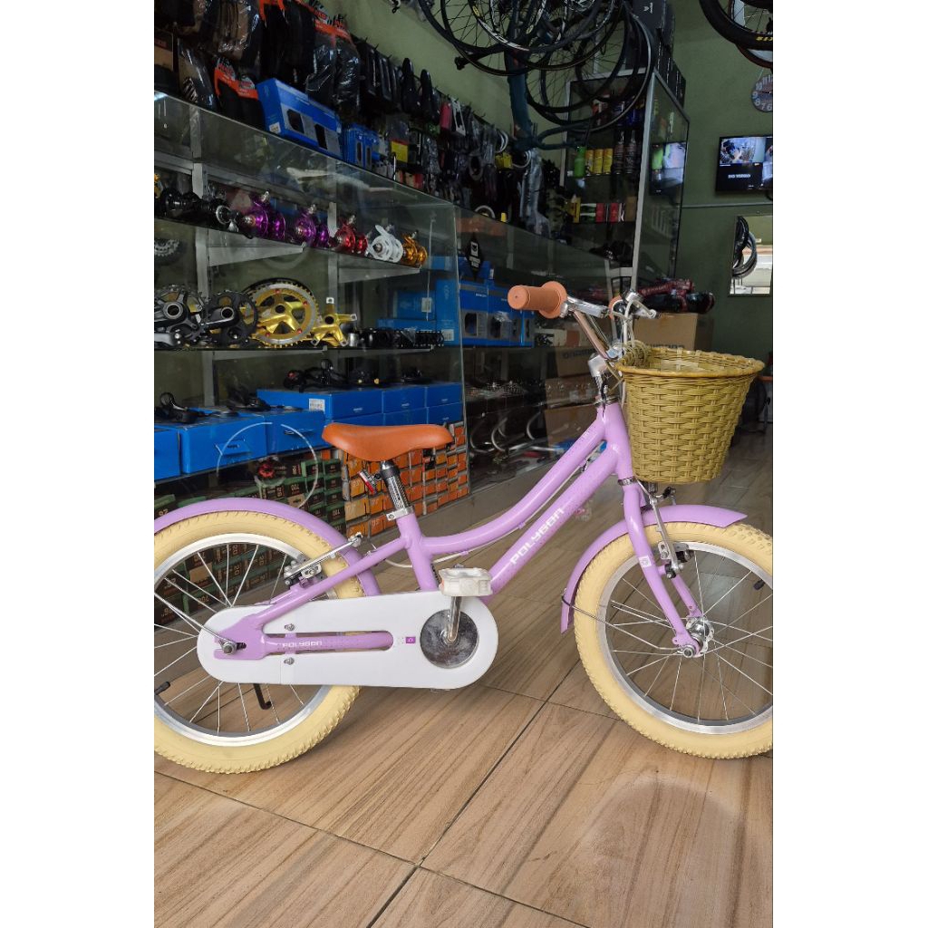 Jual Sepeda Mini Anak Polygon Alice 16" Inch Alloy Rem Vbrake Ungu ...