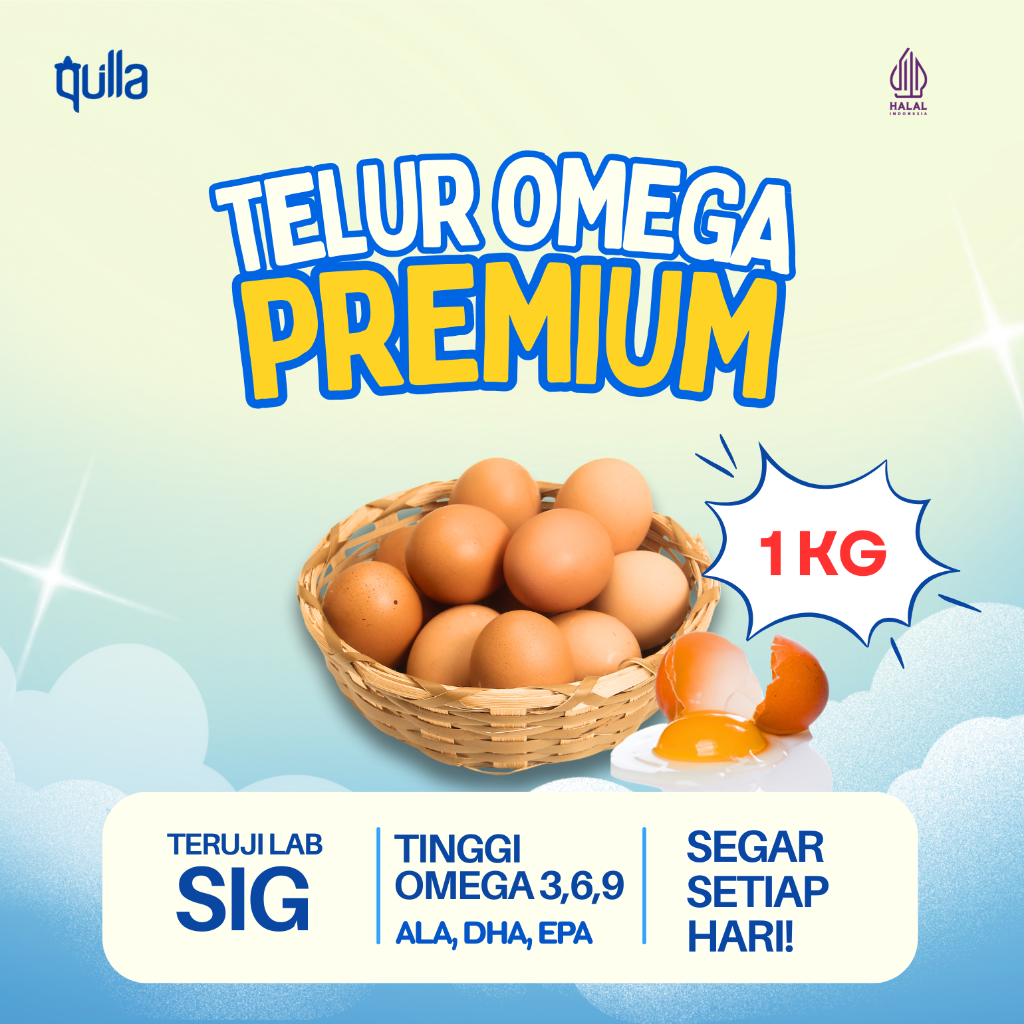 Jual Qui Egg Telur Omega Premium Isi 16-18 butir ukuran besar (1KG ...