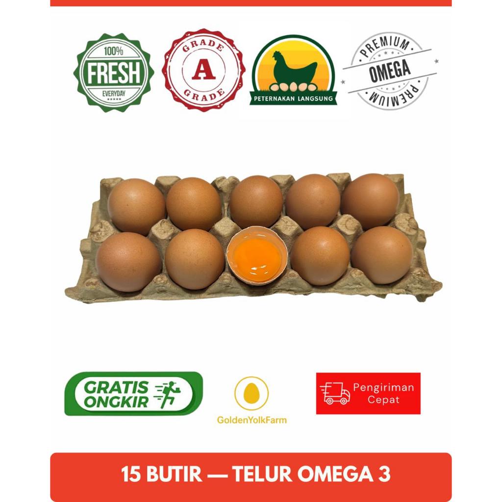 Jual Telur Ayam Negeri OMEGA 3 - 10 pcs GRADE A Fresh Bersih Kualitas ...