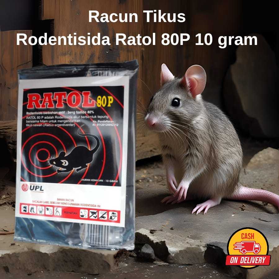 Jual 1 Renteng Rodentisida Ratol 80P Pembasmi Tikus 10 gram | 10 ...