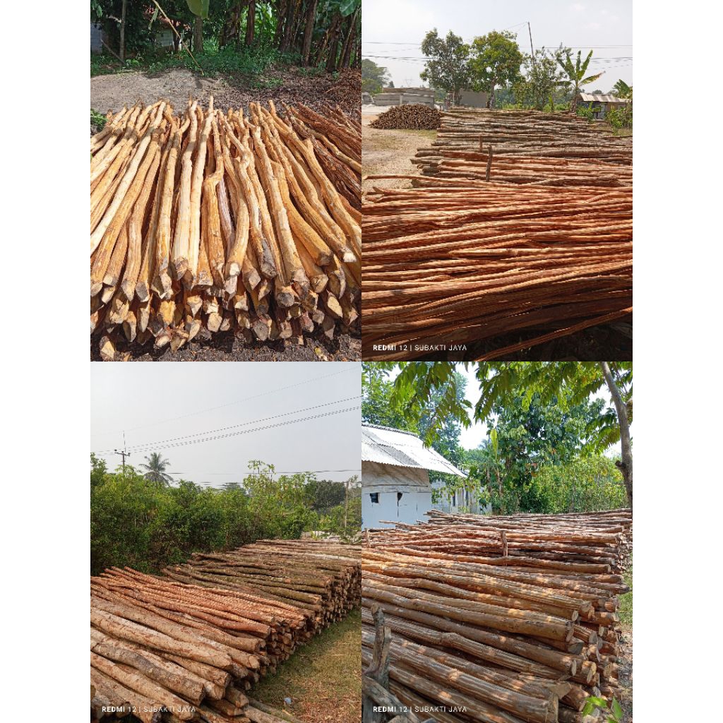 Jual kayu, kayu dolken, dolken kayu, dolken kayu bulatan, dolken kayu ...