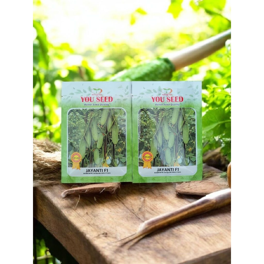 Jual benih Timun JAYANTI you seed Better Seed quality setara dengan ...