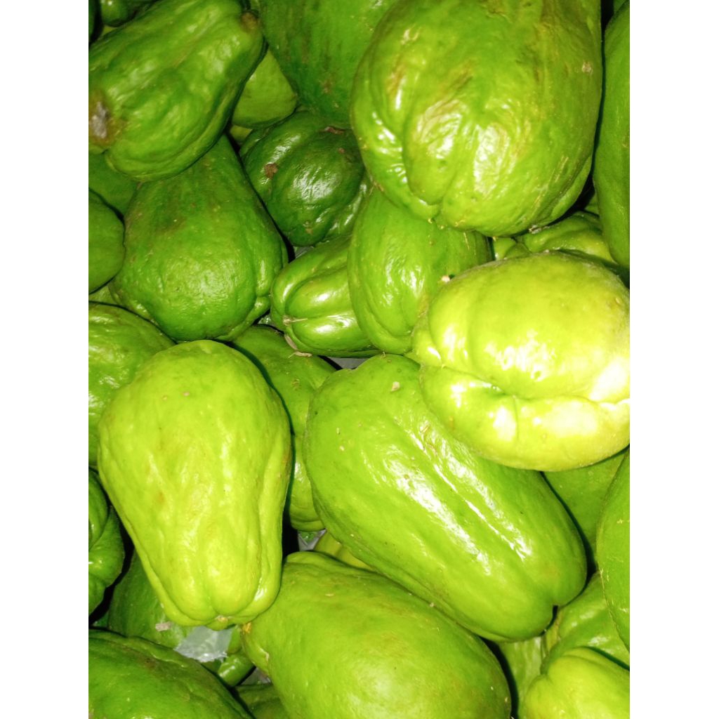 Jual Sayur Labu Siam / Manisah /Jipang / Gondes mentah kilogram ...