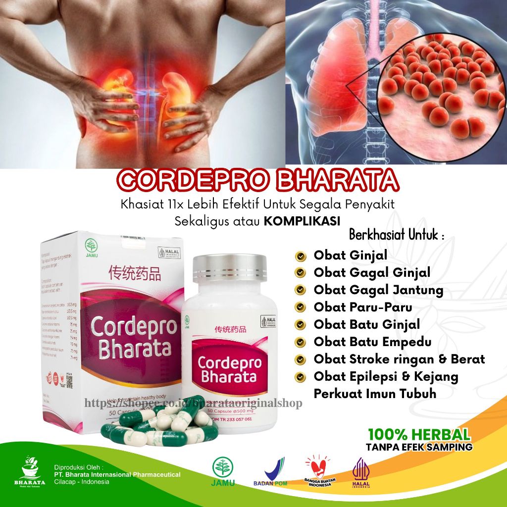 Jual CORDEPRO BHARATA Obat Ginjal Paru Jantung Komplikasi Diabetes Asli ...