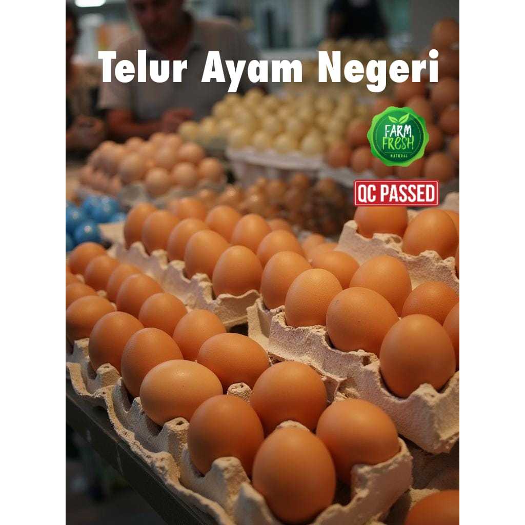 Jual Telur Ayam Negeri Fresh 1kg | Shopee Indonesia
