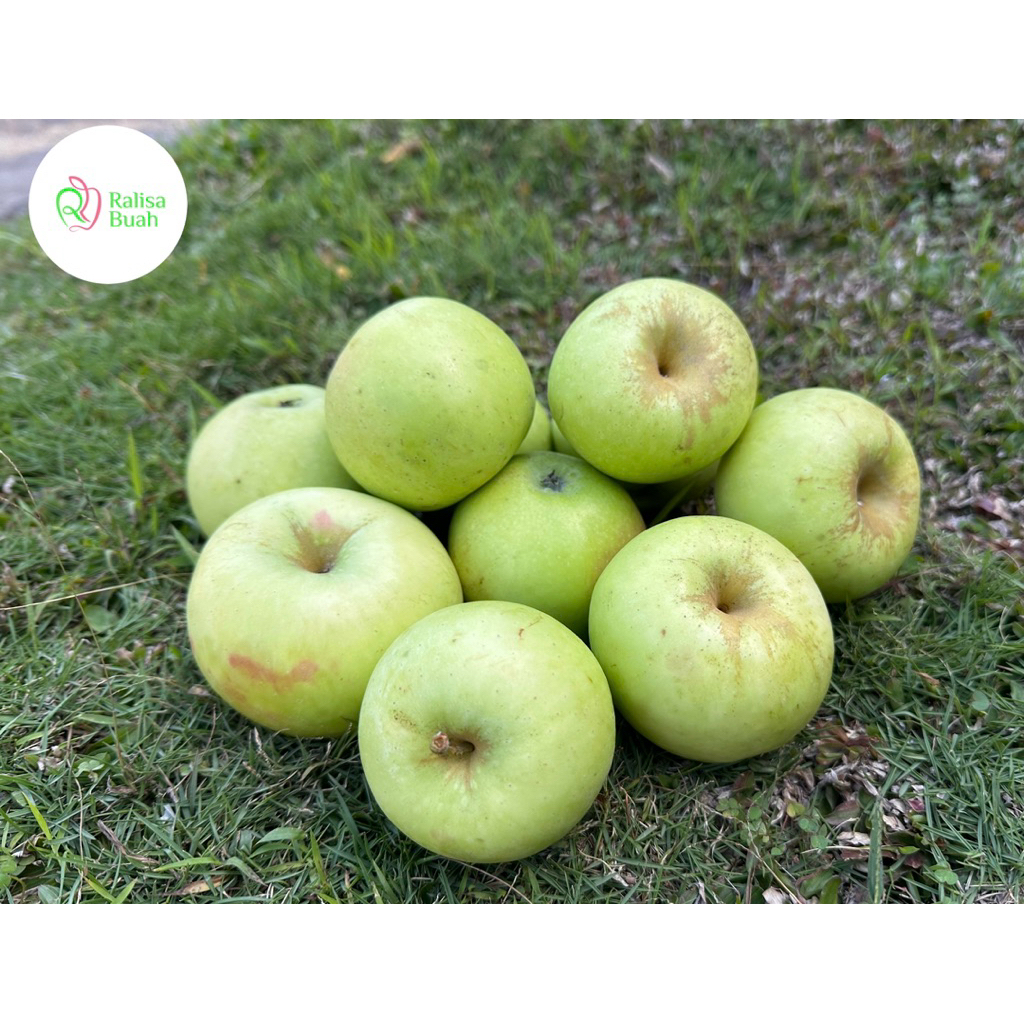 Jual Apel Manalagi Malang Besar 9-11 1kg / Apel Fresh / Apel manalagi ...