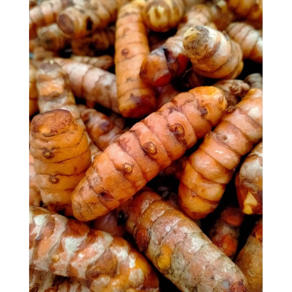 Jual Ready Kunyit Segar 250gr, 500gr dan 1kg | Shopee Indonesia