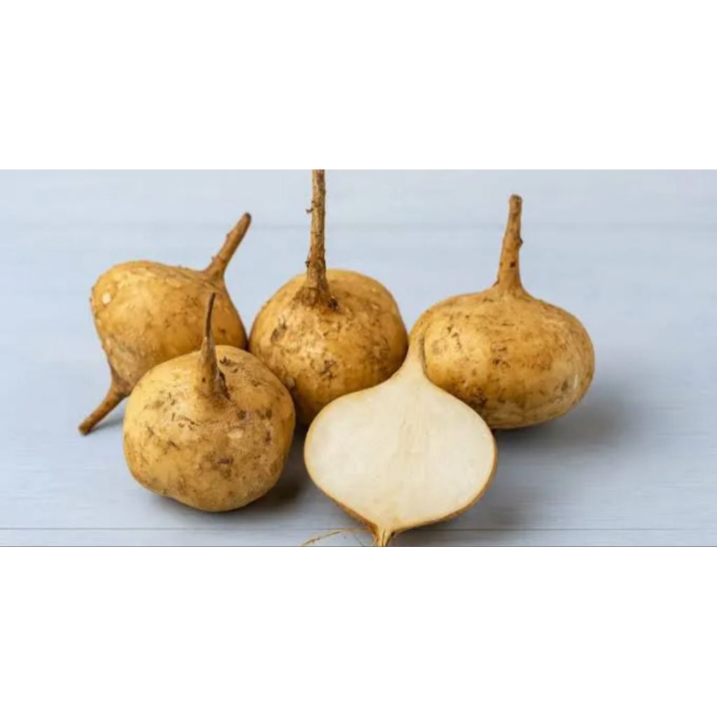 Jual bengkuang 1 kg | Shopee Indonesia