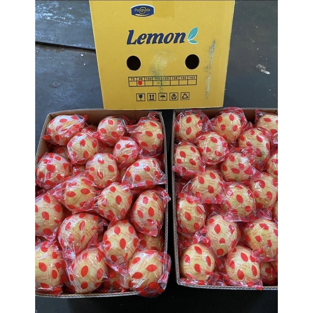 Jual lemon import new stock | Shopee Indonesia