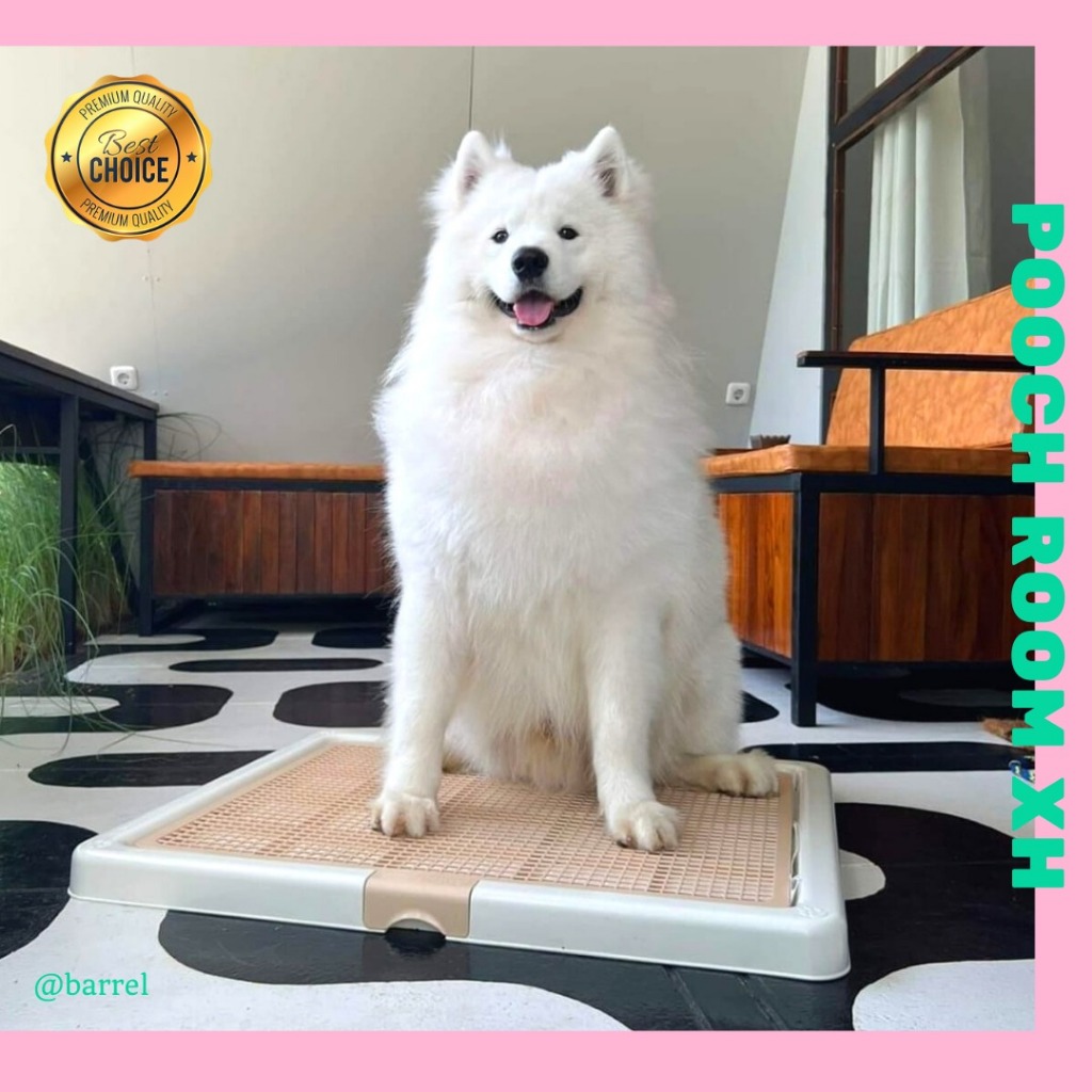 Jual Pee Tray Urine Tray Dog /Toilet Anjing /Tempat Pipis Anjing/Dog ...