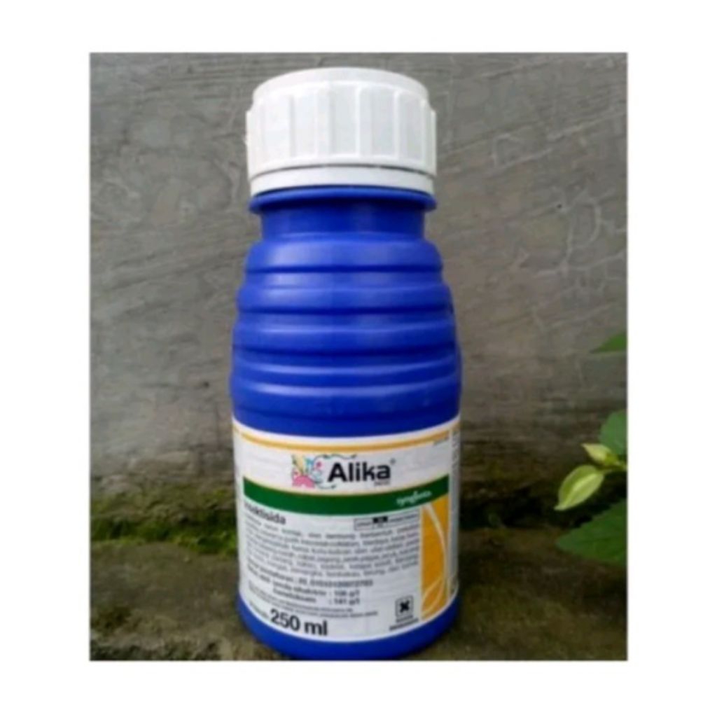 Jual Alika 247 ZC 250 ml | Shopee Indonesia