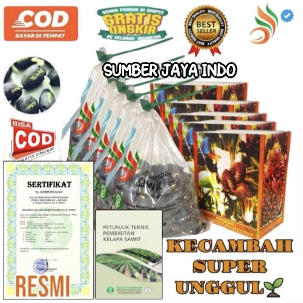 Jual Bibit benih Kecambah sawit PPKS bersertifikat isi 250 butir ...