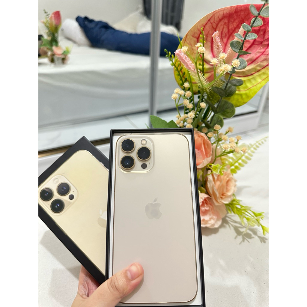 Jual IPHONE 13 PROMAX 128 GB IBOX | Shopee Indonesia