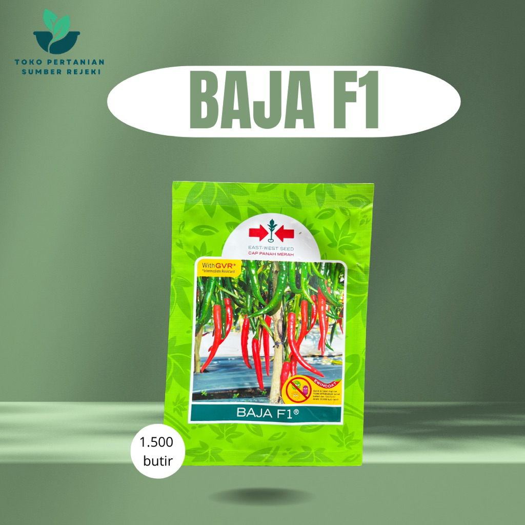 Jual BENIH CABE BAJA F1 1.500 BUTIR | Shopee Indonesia