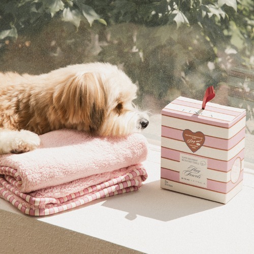 Jual Bite Me X FINCA Dry Me Microfiber Pet Towel - Handuk Anjing & Kucing cepat kering high ...