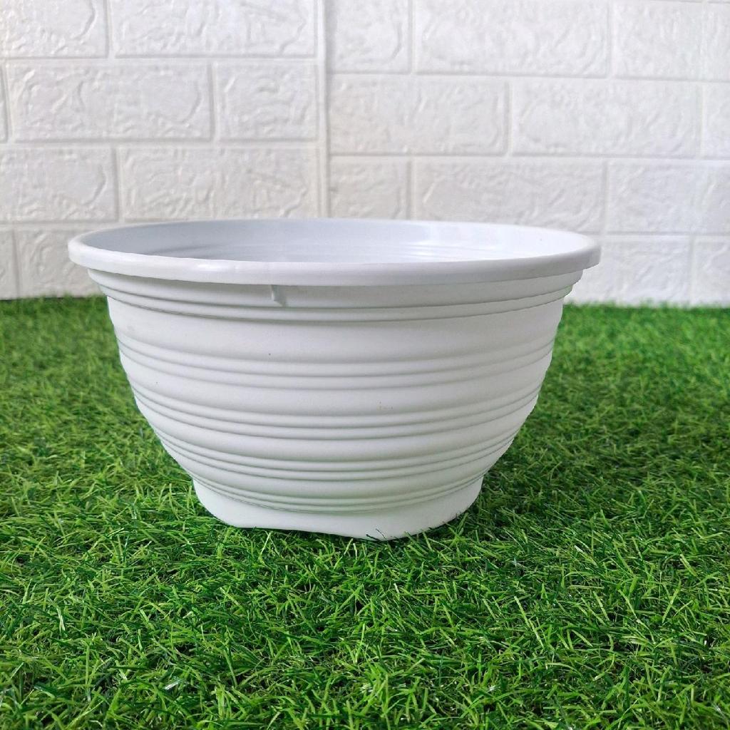 Jual Pot golden bangkok / Pot Tawon Golden Bangkok / Pot bunga Golden ...
