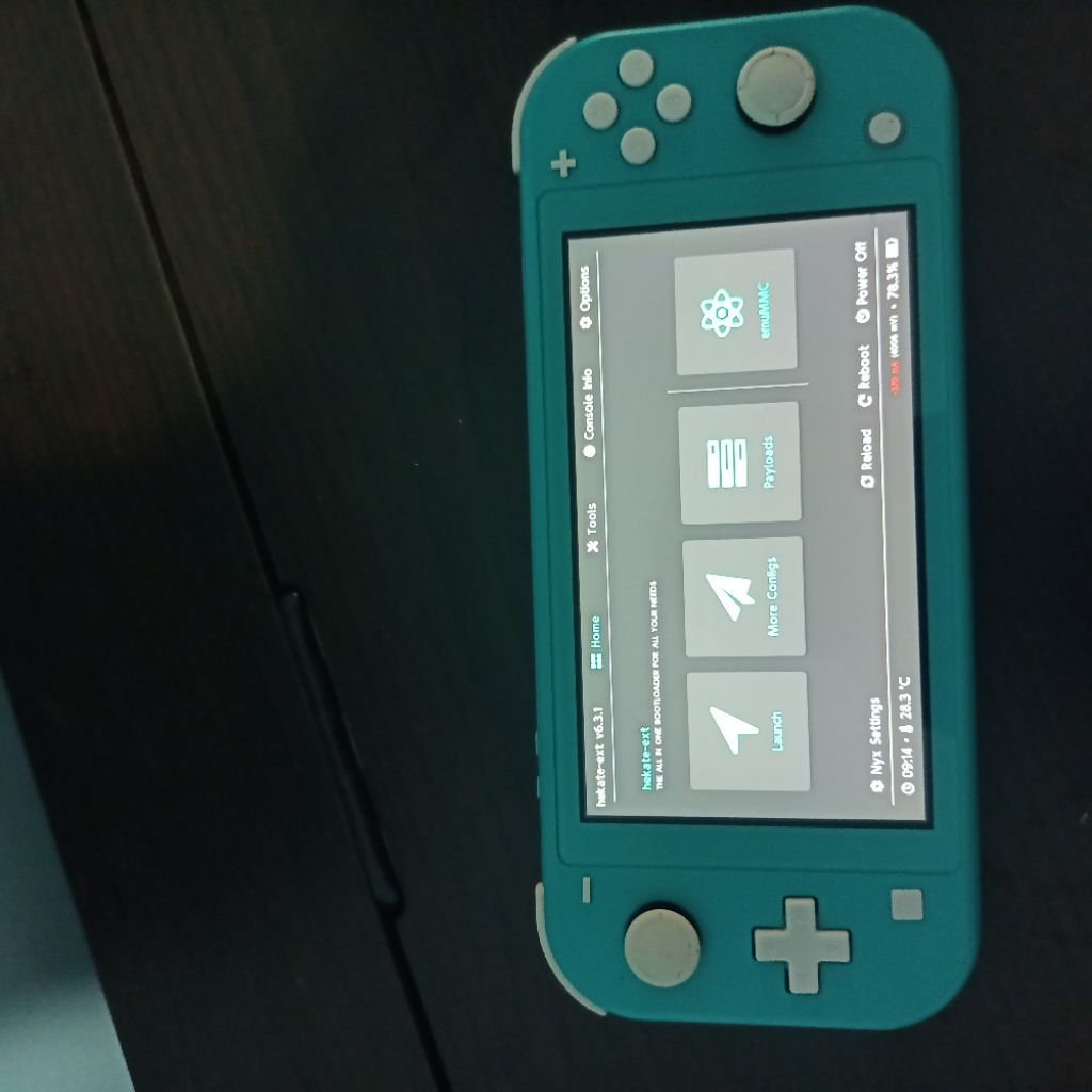 Jual Switch lite CFW 128G | Shopee Indonesia