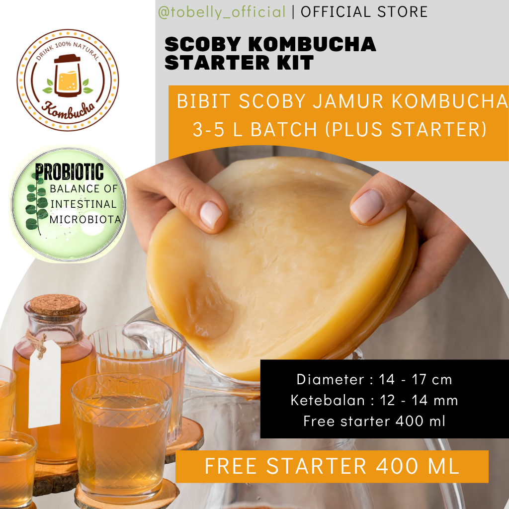 Jual Tobelly Bibit SCOBY Kombucha Starter Kit - Bibit Jamur Teh ...