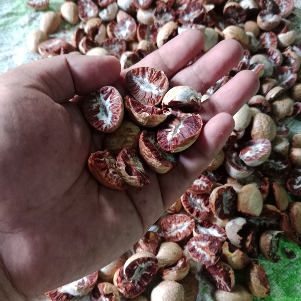 Jual Pinang Muda Kering 2kg - Jambe Muda Kering Kualitas Ekspor ...