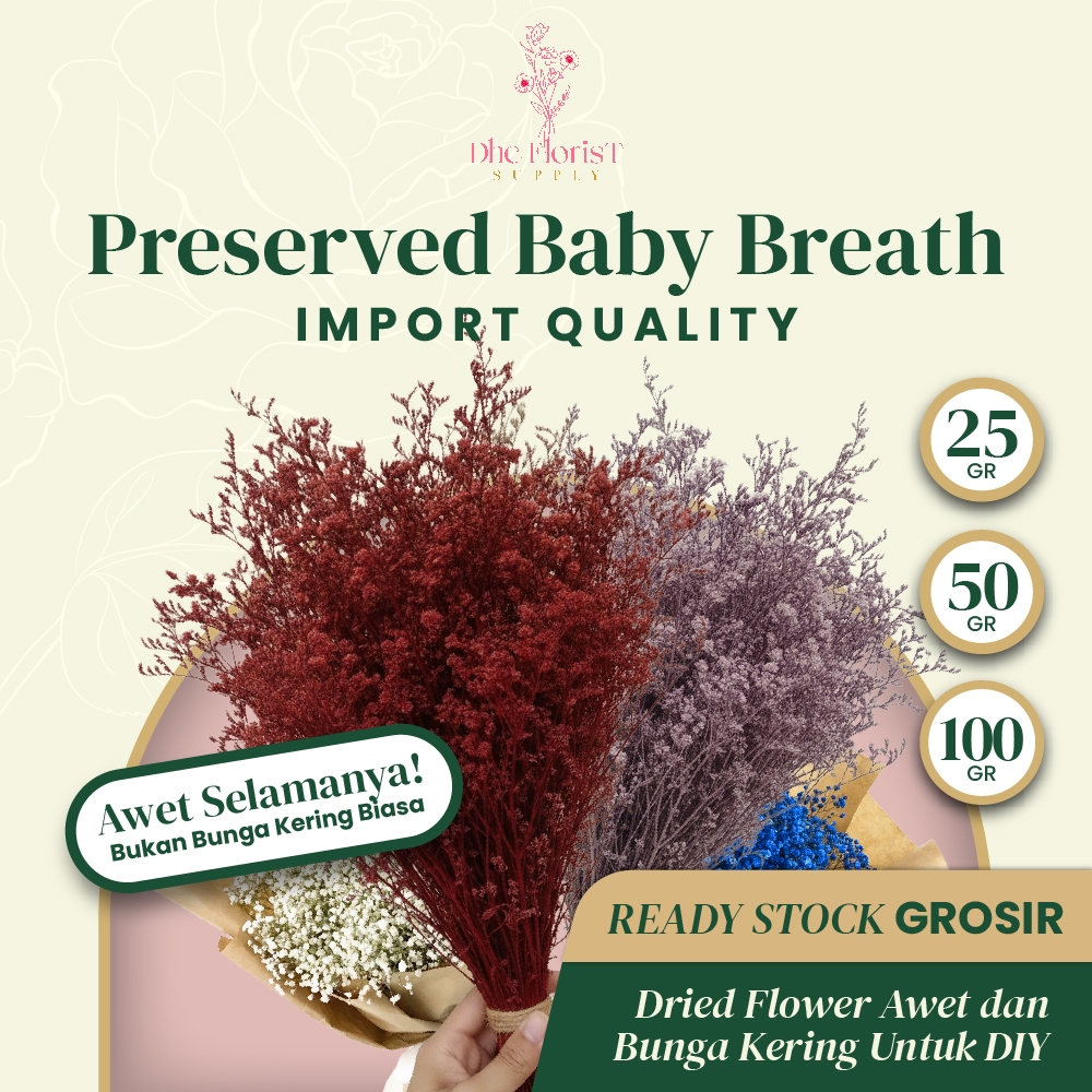 Jual Preserved Baby Breath Flower 25gr 50gr 100gr - Dried Flower Awetan ...
