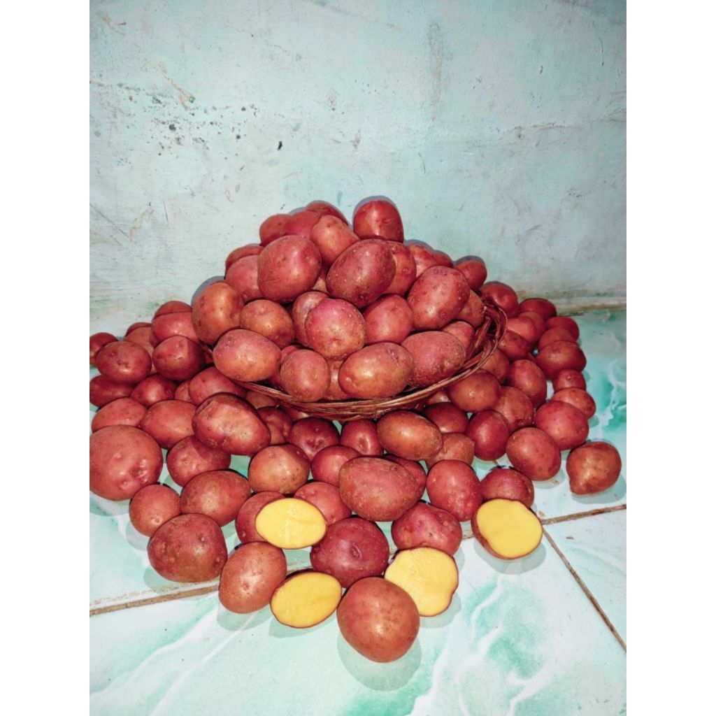 Jual kentang merah ukuran kecil-sedang (DN) per 1 KG | Shopee Indonesia
