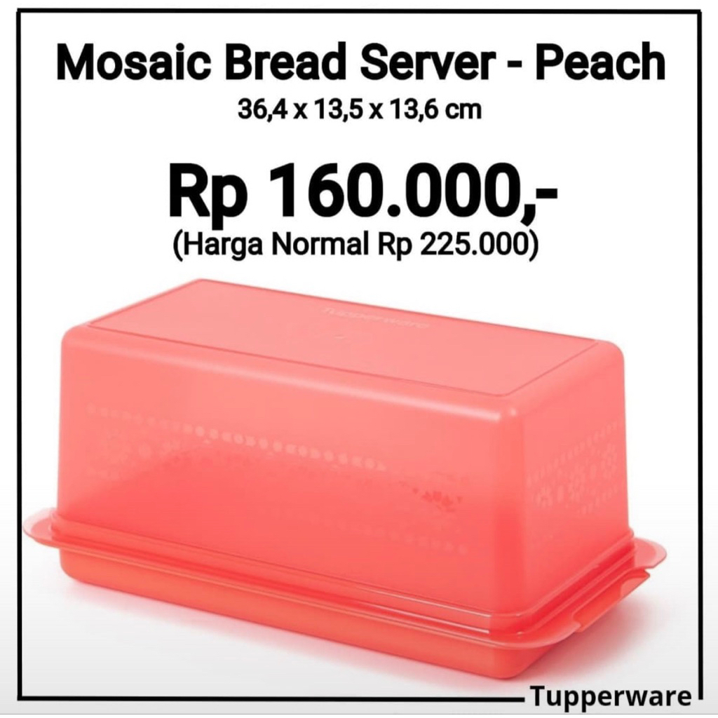 Jual Kotak tempat roti Tupperware (Bread server Tupperware) | Shopee ...