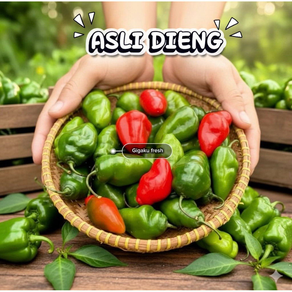 Jual cabai gendot, cabe lombok dieng segar | Shopee Indonesia