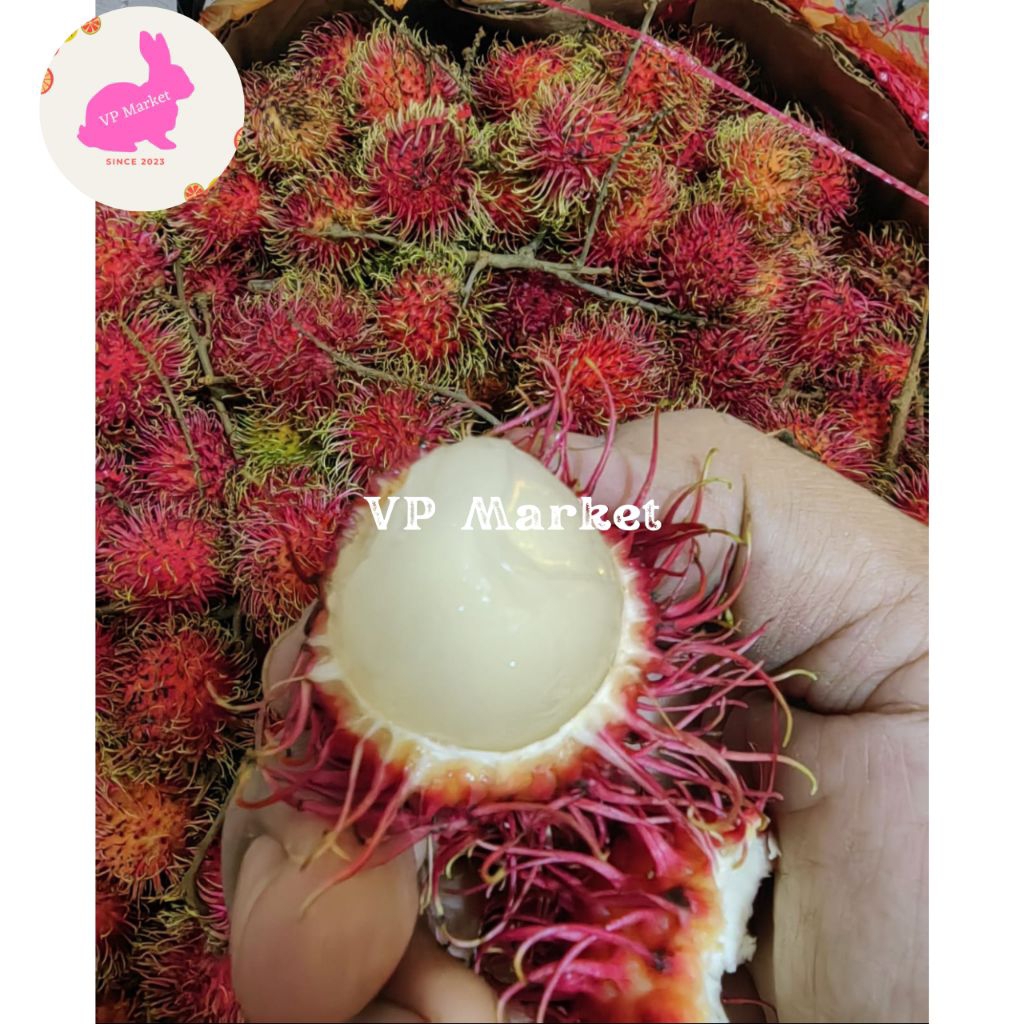 Jual Rambutan Binjai Manis Garing 1kg | Shopee Indonesia
