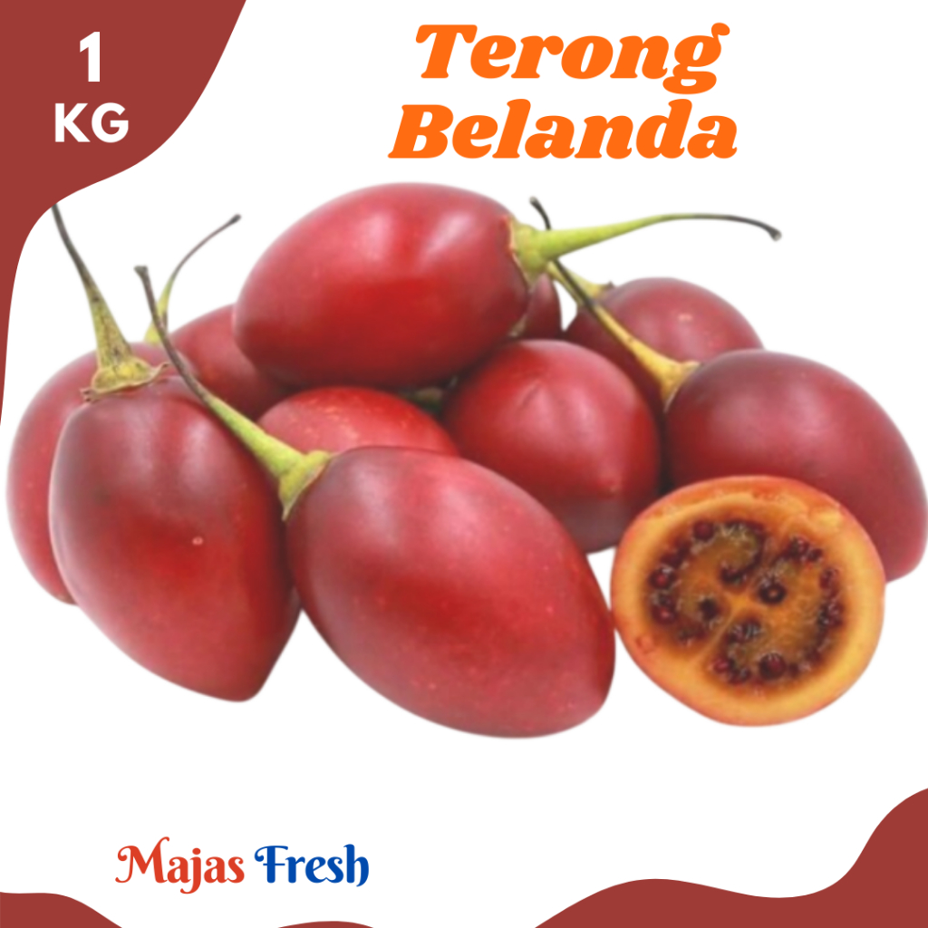 Jual TERONG BELANDA Segar - Sayur Terong Kori Tiung Fresh | 1.000gr ...