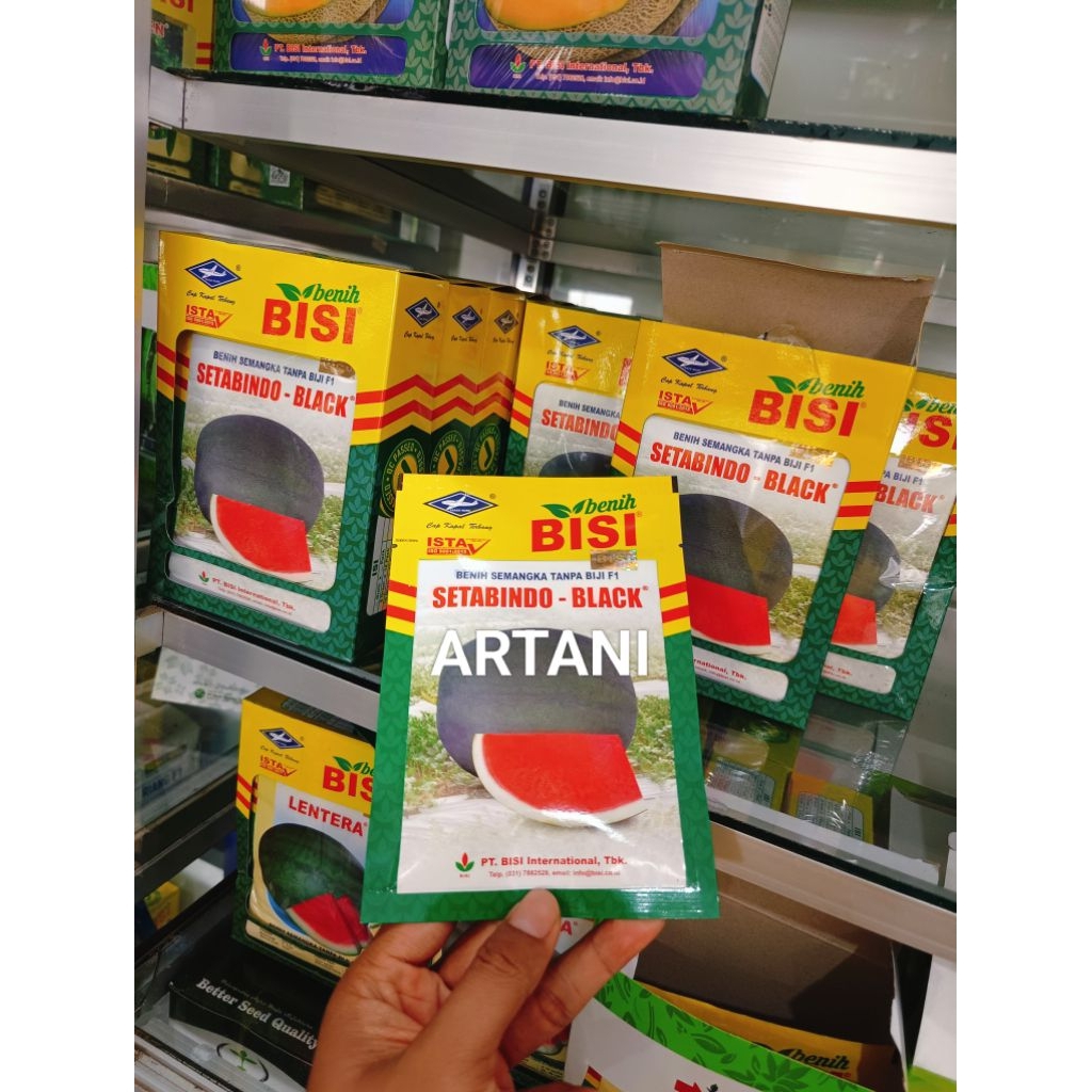 Jual Benih Bibit Semangka Non Biji Stabindo Black F1, Kulit Gelap ...