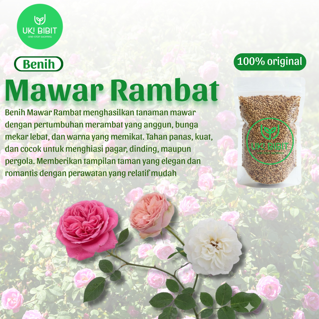 Jual ( 100 Butir ) Benih Biji Bunga Mawar Rambat | Climbing Rose Mix ...